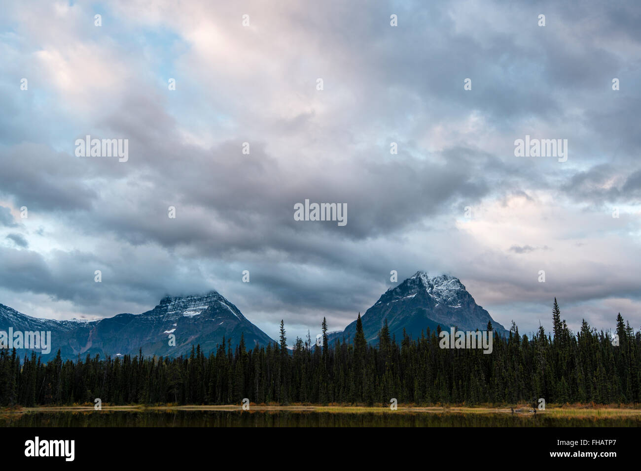 Fryatt Ponds, Jasper Nationalpark, Alberta, Canada Stock Photo - Alamy