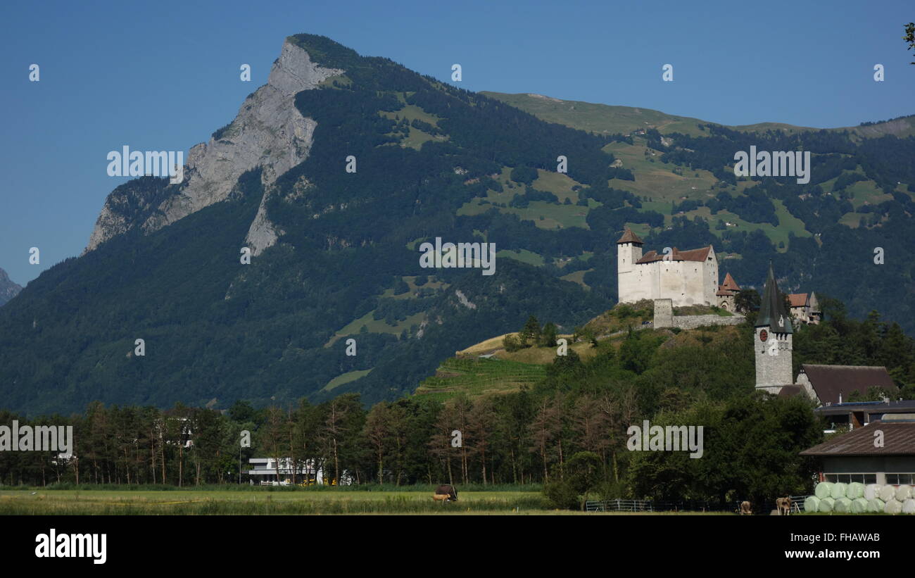 Gutenberg Castle (German: Burg Gutenberg) is an intact castle in the ...