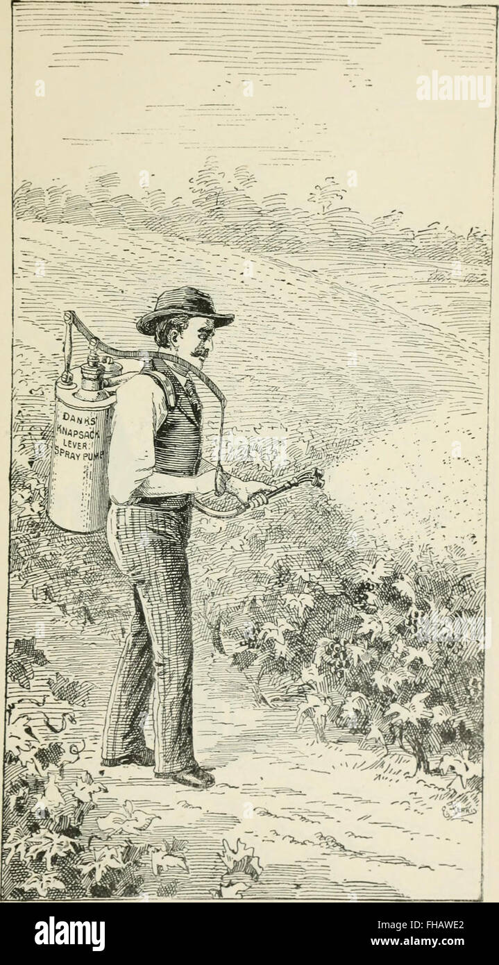 A Victorian Era Handbook Detailing Destructive Insect Species In