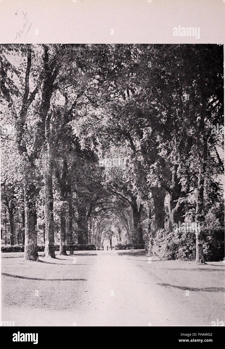 A 1920 collection of diverse topics, providing a mix of cultural ...