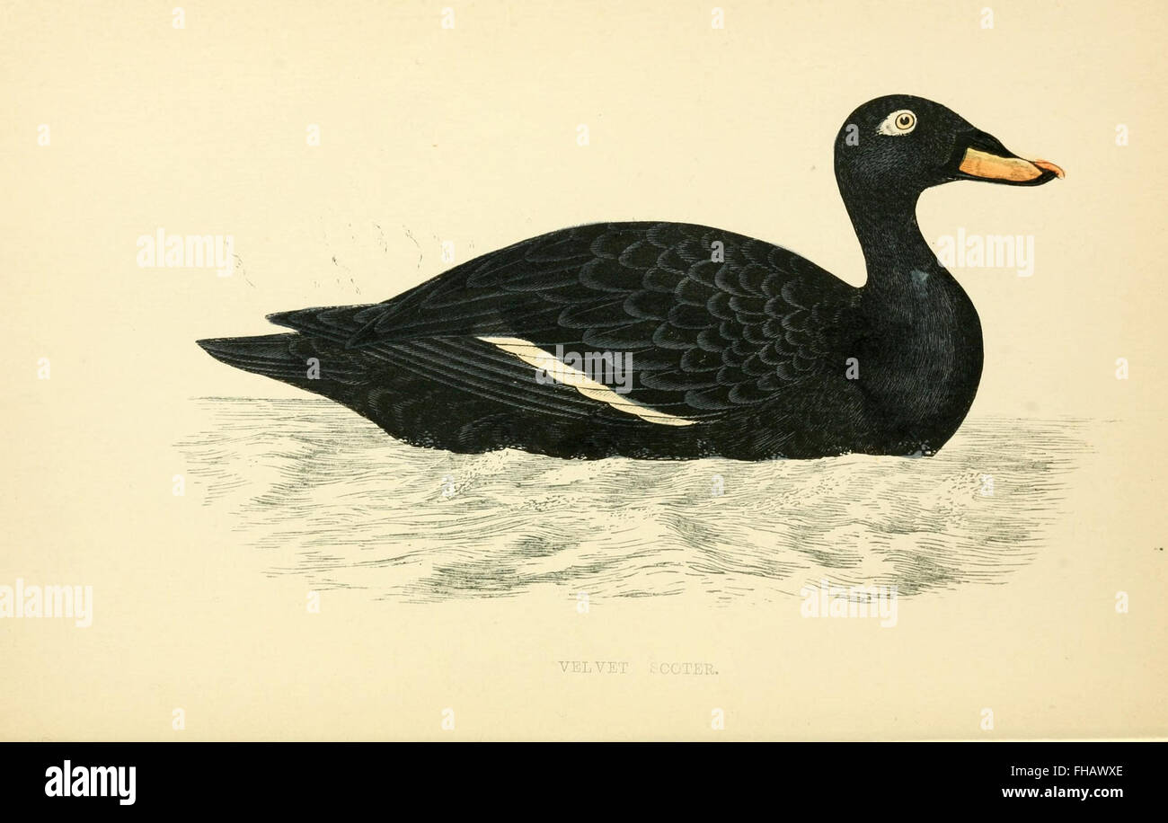 A comprehensive study of British bird species and their habitats across ...