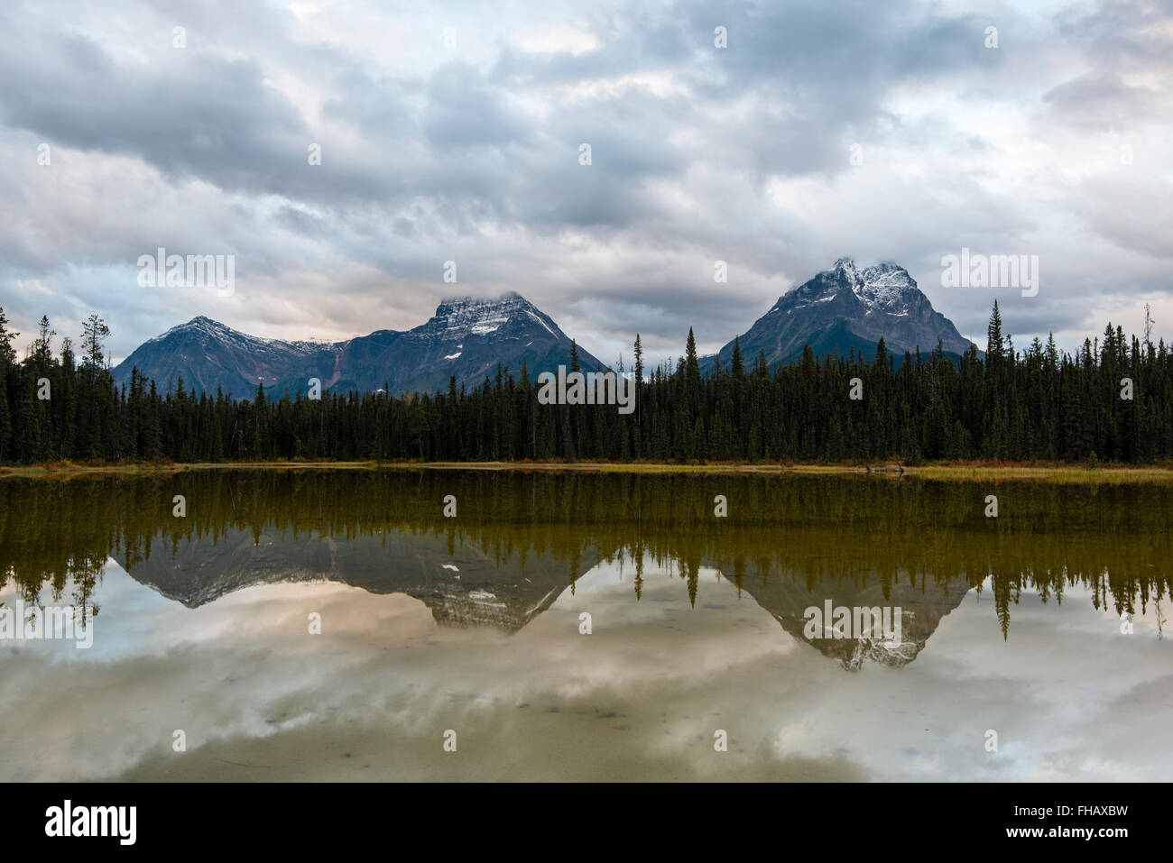 Fryatt Ponds, Jasper Nationalpark, Alberta, Canada Stock Photo - Alamy