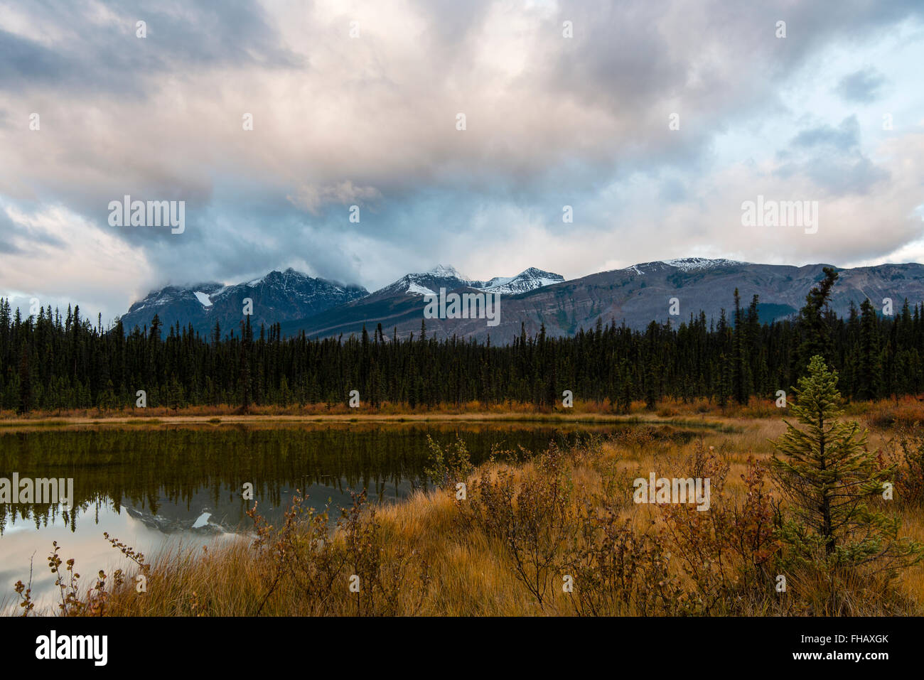 Fryatt Ponds, Jasper Nationalpark, Alberta, Canada Stock Photo - Alamy