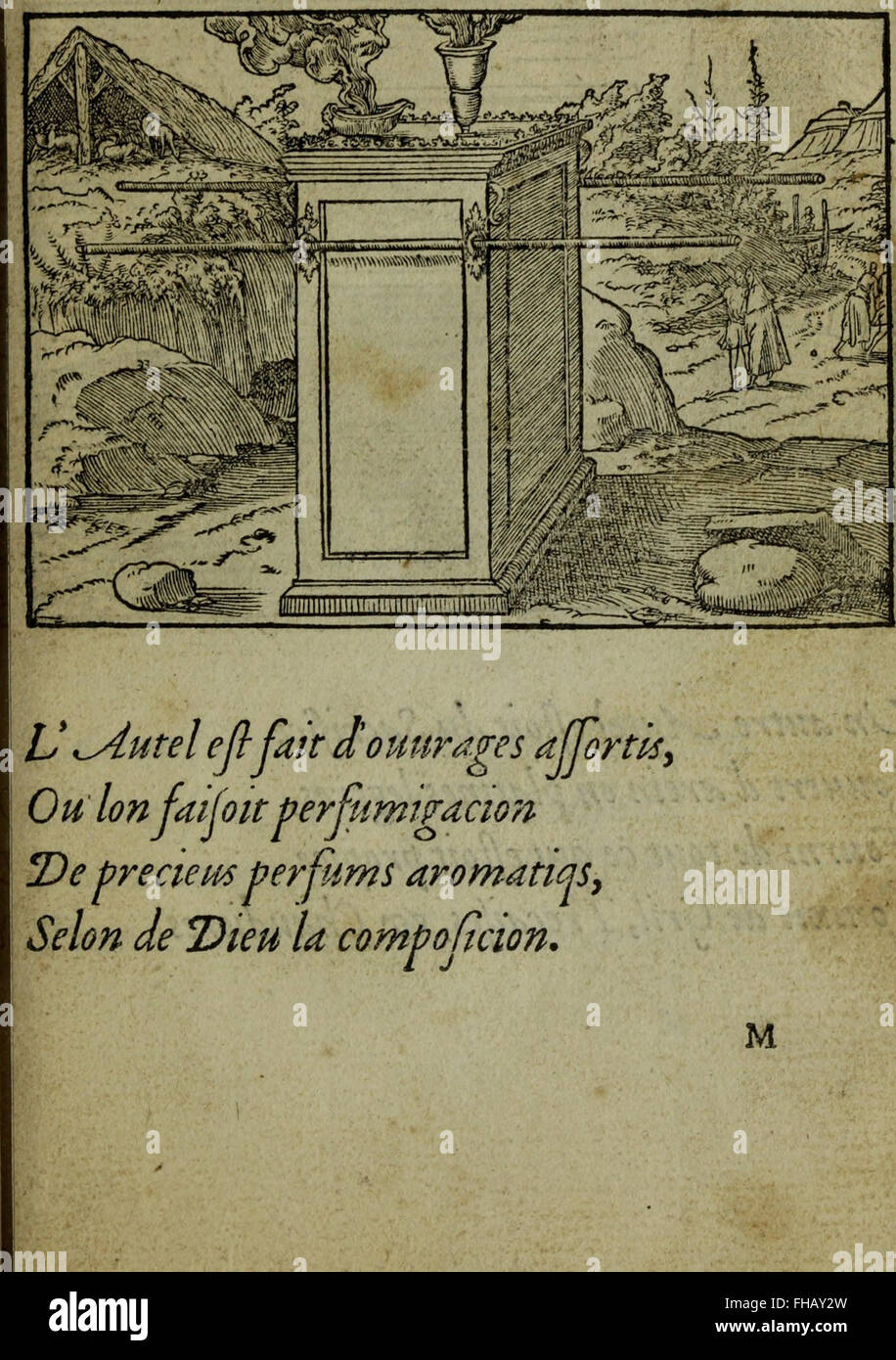 A historical examination of the Bible from a 16th-century perspective ...