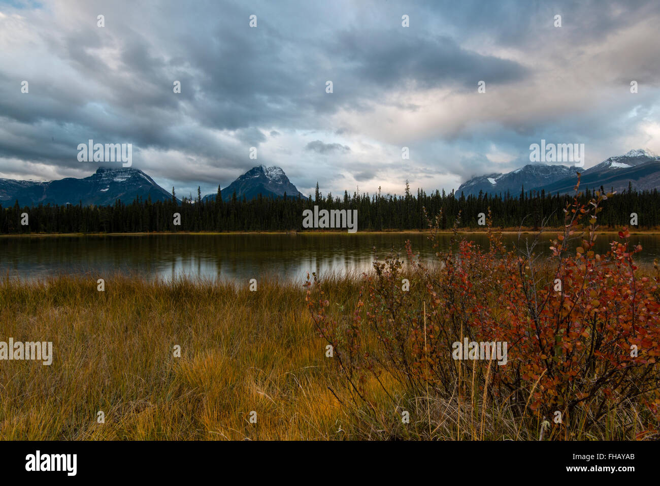 Human ponds hi-res stock photography and images - Alamy