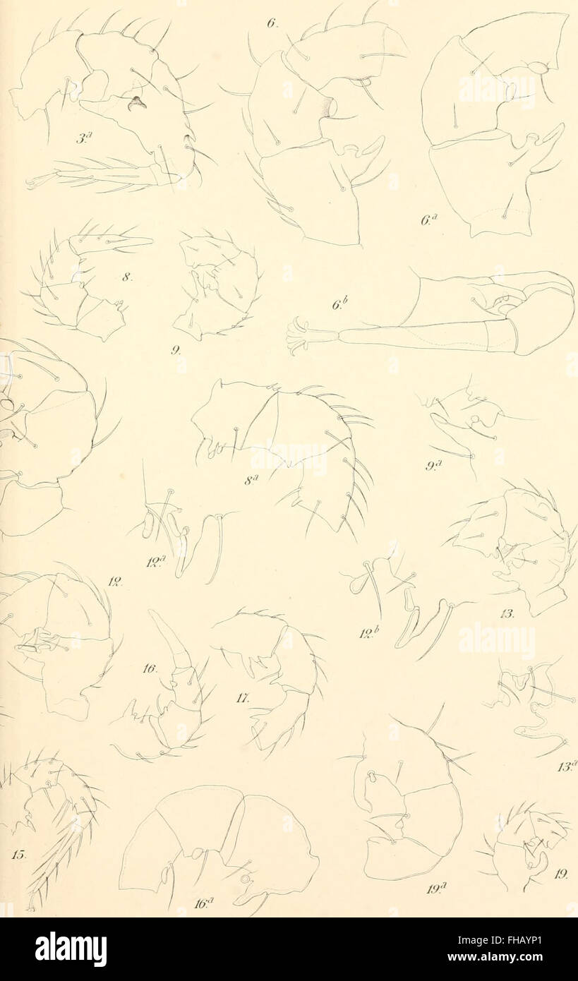 Redia, a 1905 journal focusing on the study of parasitic organisms ...