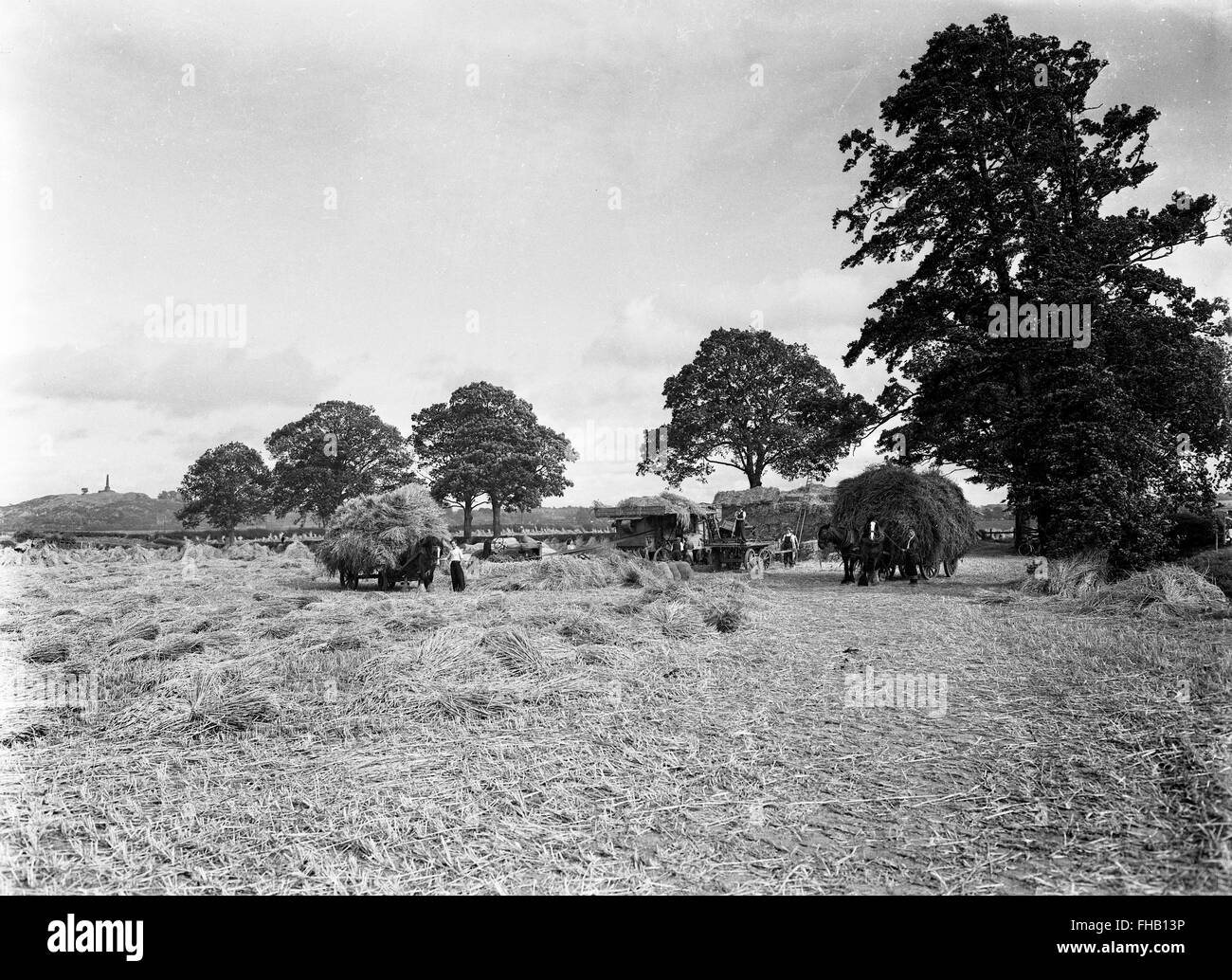 Rural harvest scene making hay in summer Shropshire England Britain Uk ...