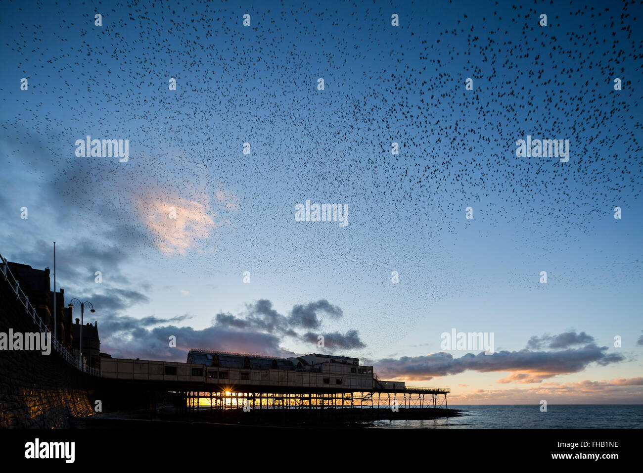 Starlings over Aberystwyth Pier at sunset Stock Photo - Alamy