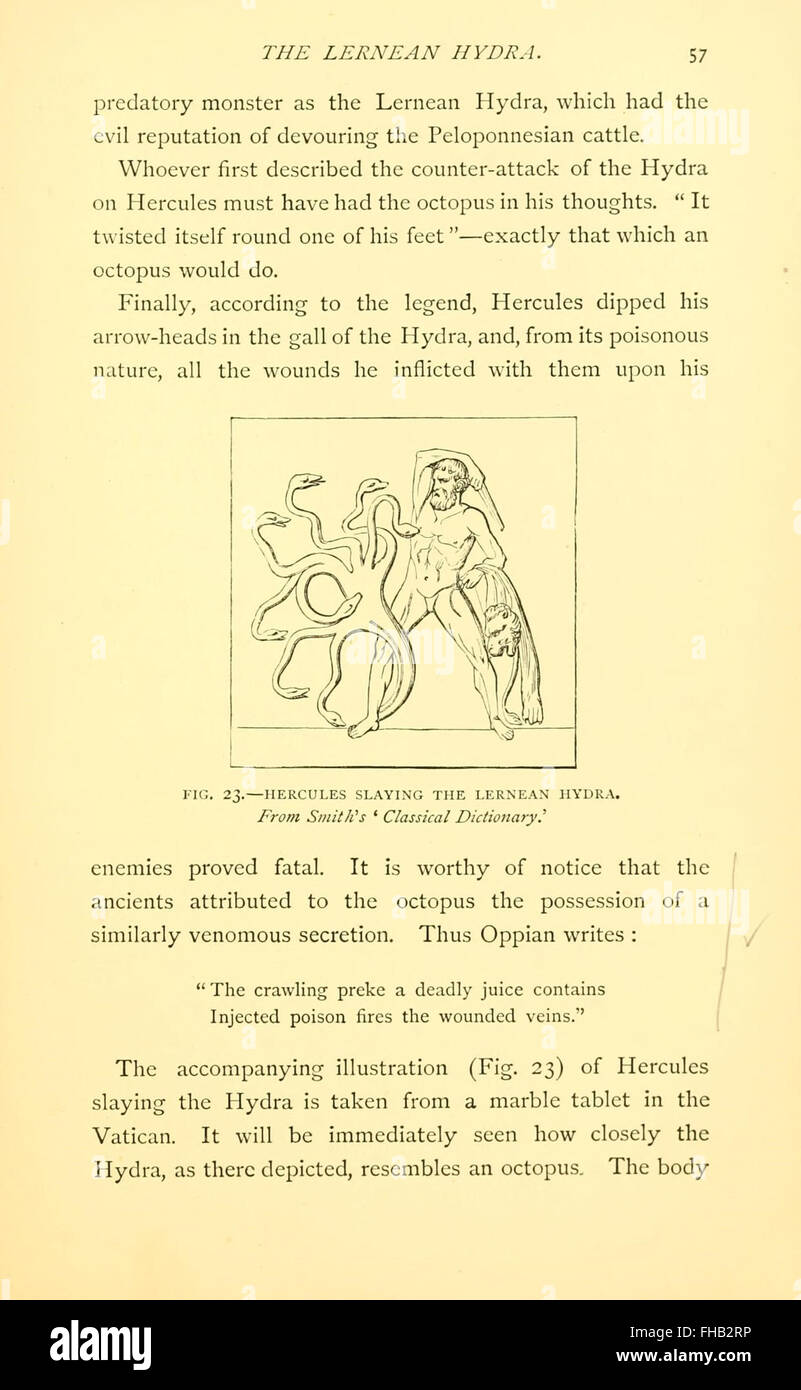 An exploration and explanation of sea-related folklore and myths ...