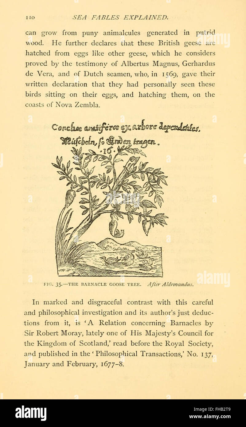 A work explaining the sea-related fables and folklore, with ...