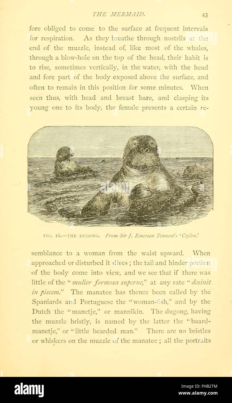 A collection of explanations of sea-related folklore and myths ...