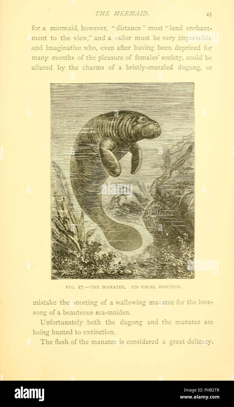 A work explaining the folklore and myths of the ocean, focusing on the ...