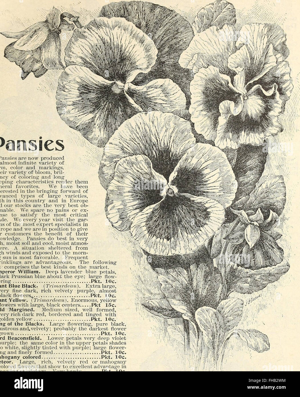 The 1908 edition of Seed Annual, detailing new seed varieties ...