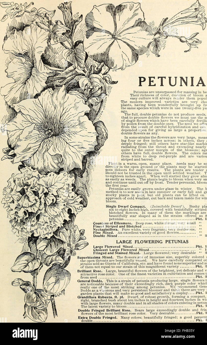 A comprehensive annual report from 1908 focusing on seed research and ...