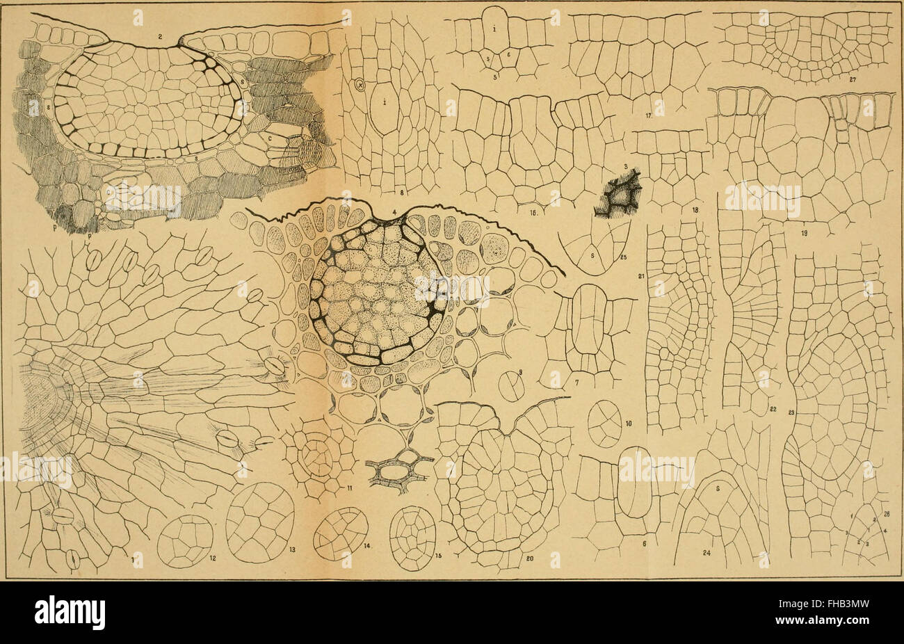 A collection of academic reports and proceedings from various ...