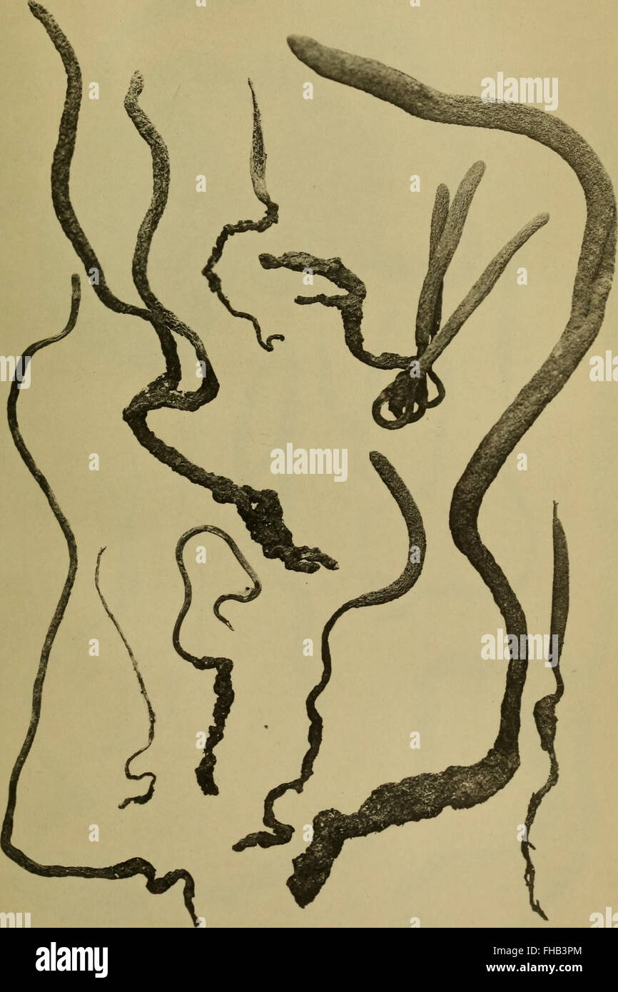 Proceedings from the academic sessions of the scientific societies ...