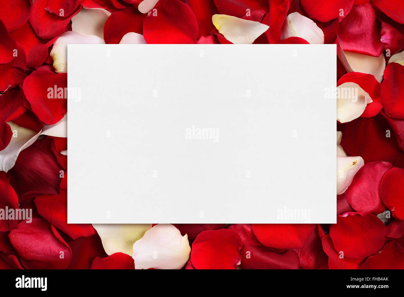 Blank paper on rose petals background Stock Photo - Alamy