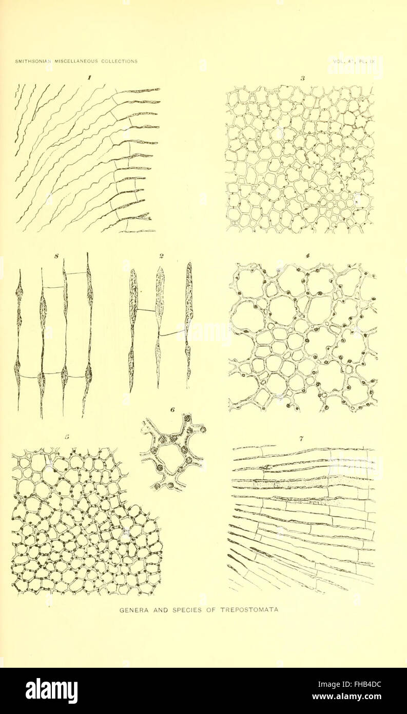 Science journals, periodicals, hi-res stock photography and images - Alamy