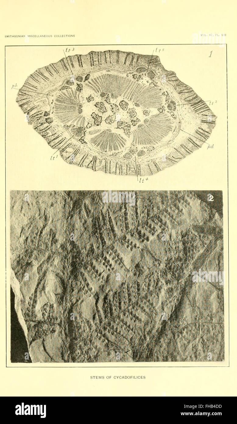 A diverse collection of periodicals from the Smithsonian Libraries ...