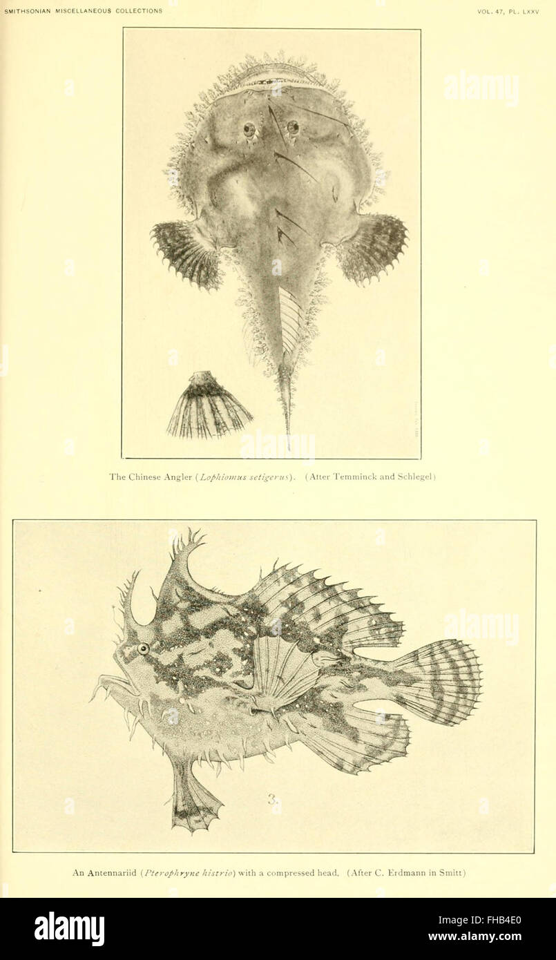 A collection of varied scientific papers and research articles ...
