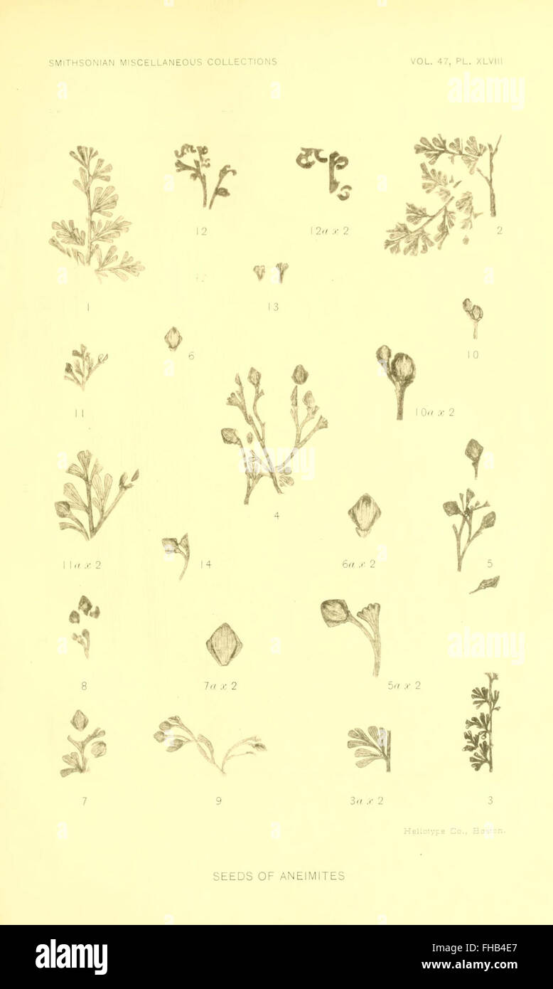 A compilation of various scientific periodicals and miscellaneous ...