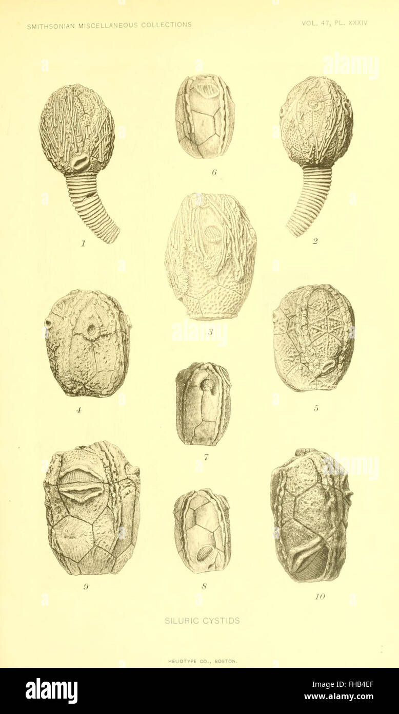 A collection of various scientific works compiled by the Smithsonian ...