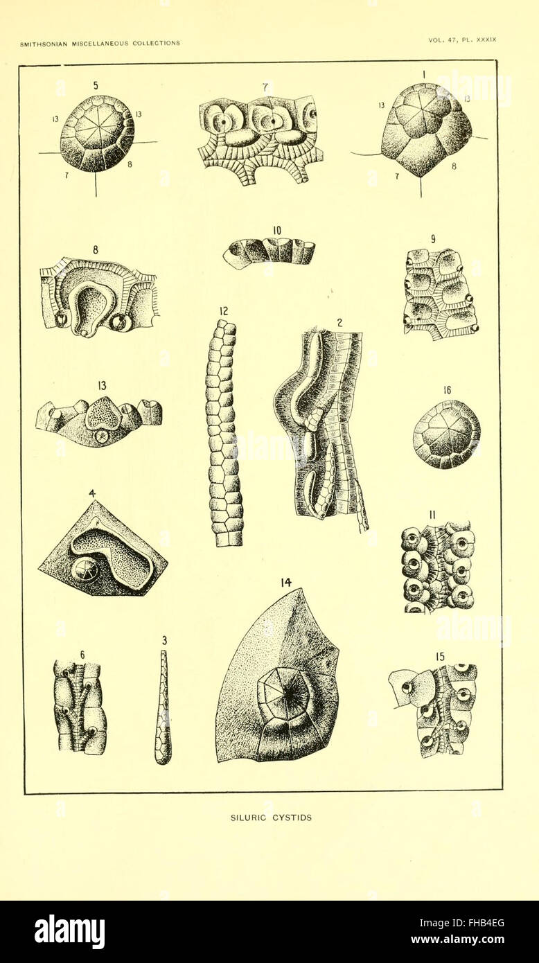 Periodicals Science Smithsonian Libraries Stock Photo - Alamy