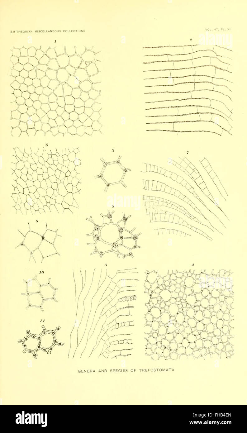 A collection of diverse scientific periodicals and research housed at ...