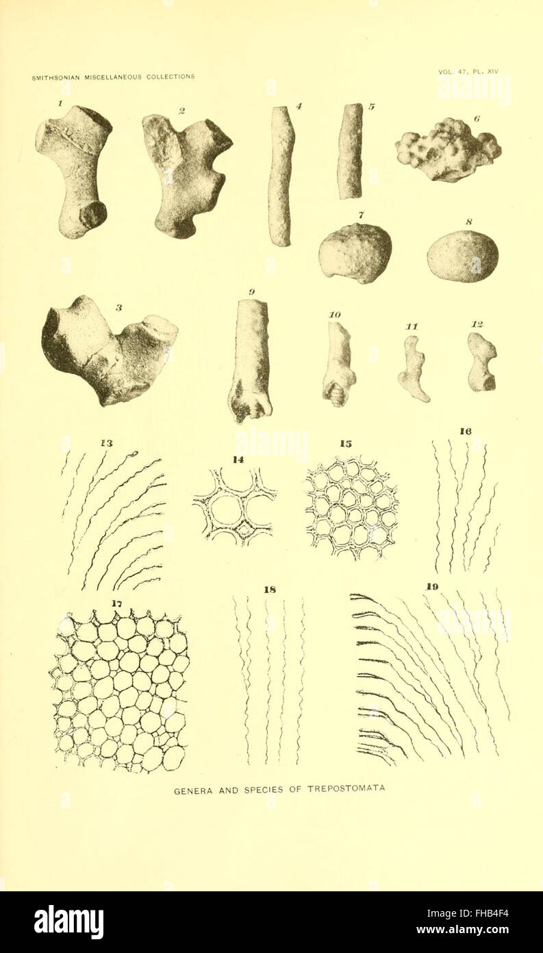 Smithsonian miscellaneous collections, Periodicals Science Smithsonian ...