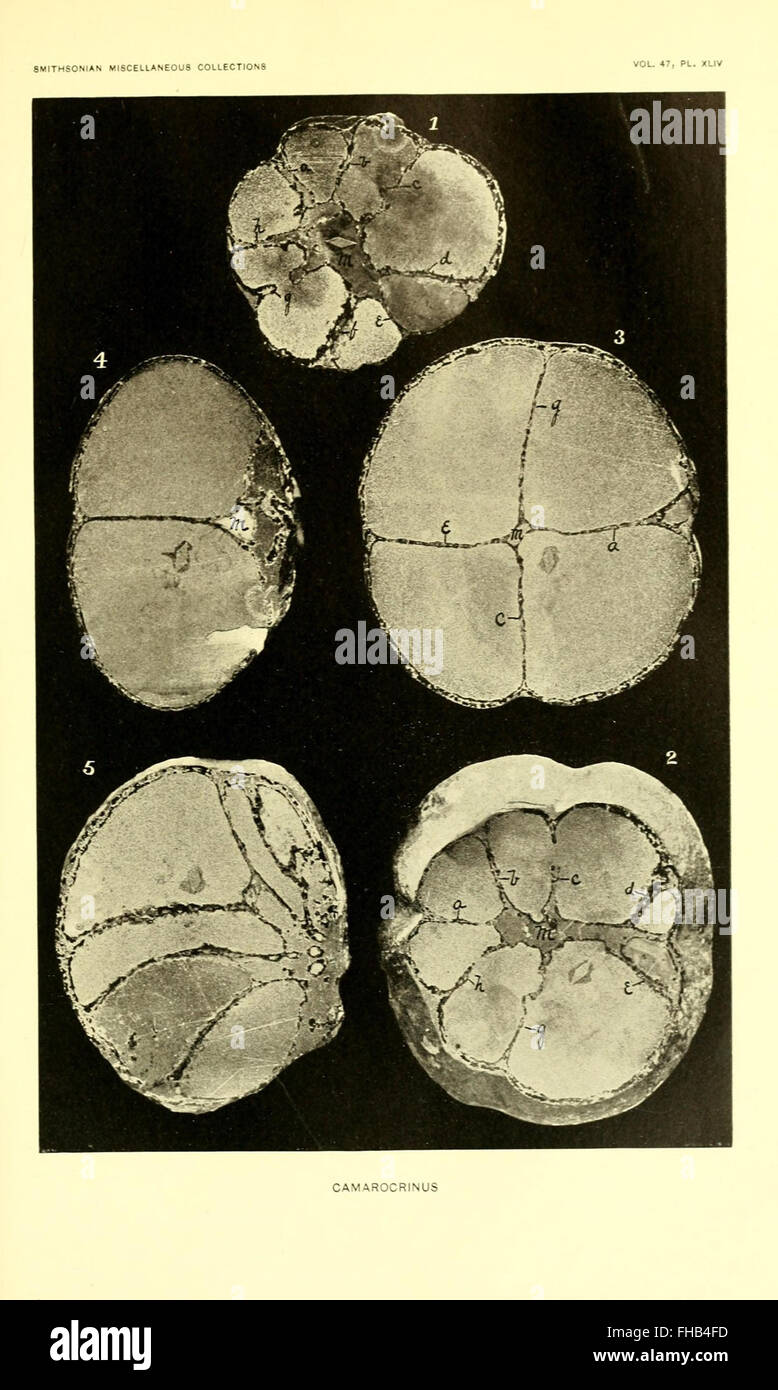 A collection of diverse scholarly works published by the Smithsonian ...