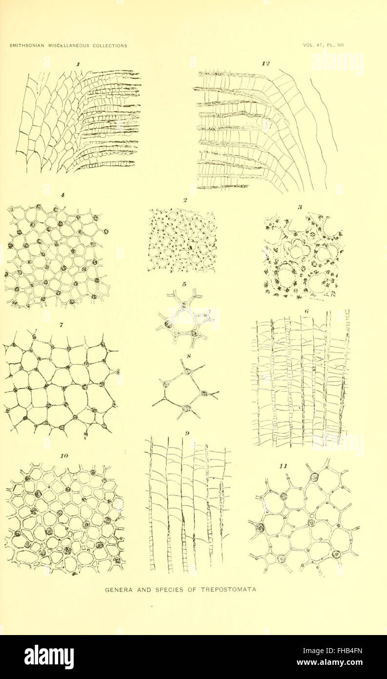 Smithsonian miscellaneous collections, Periodicals Science Smithsonian ...