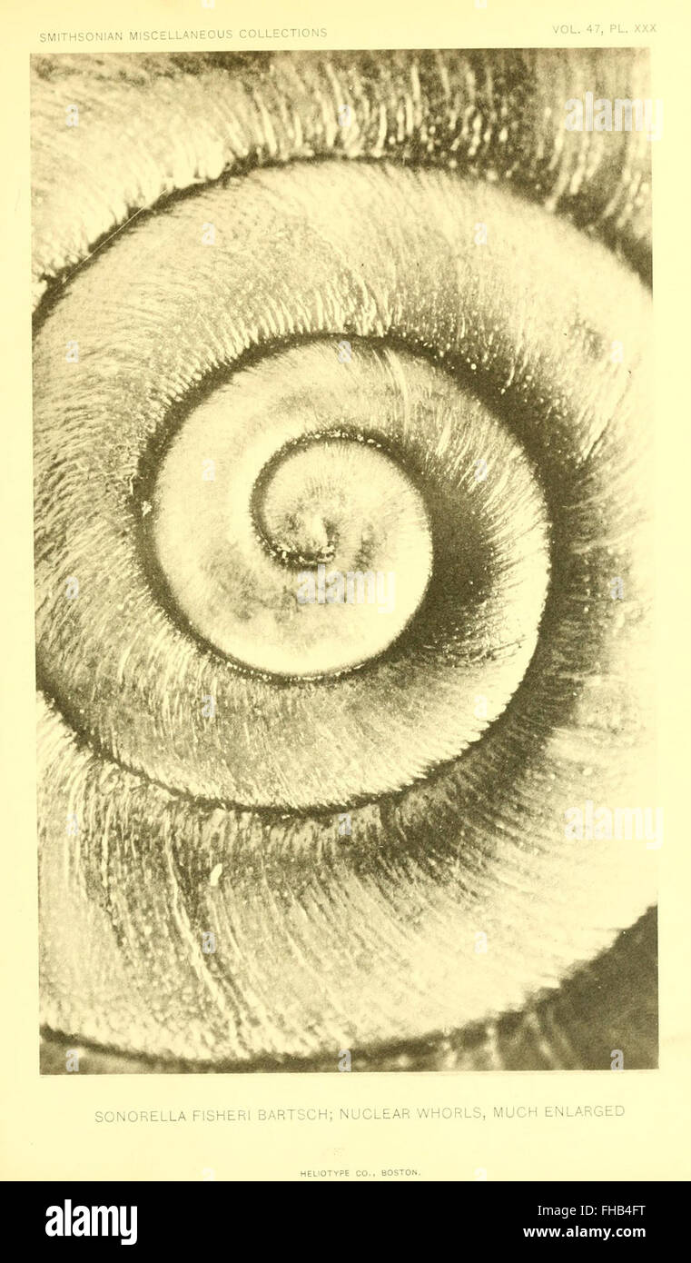 A series of diverse scientific works published by the Smithsonian ...