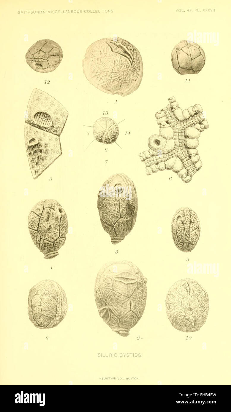 Smithsonian Miscellaneous Collections, Periodicals, Science ...