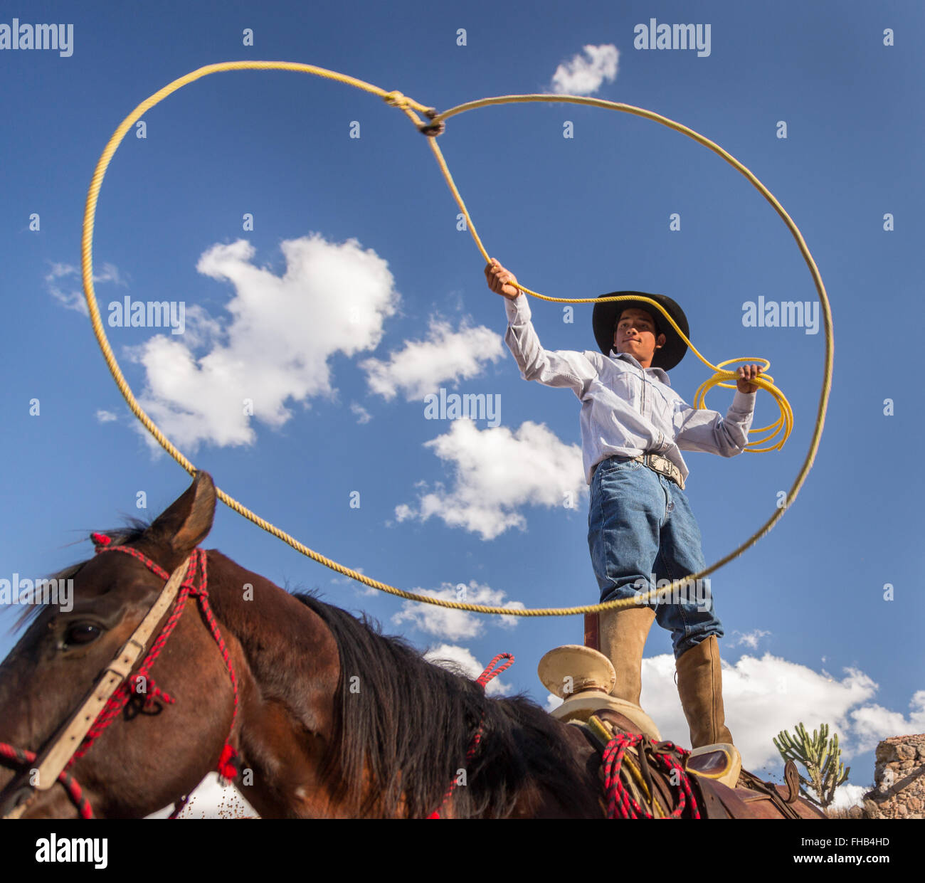 A Mexican charro or cowboy practices roping skills on his horse before ...