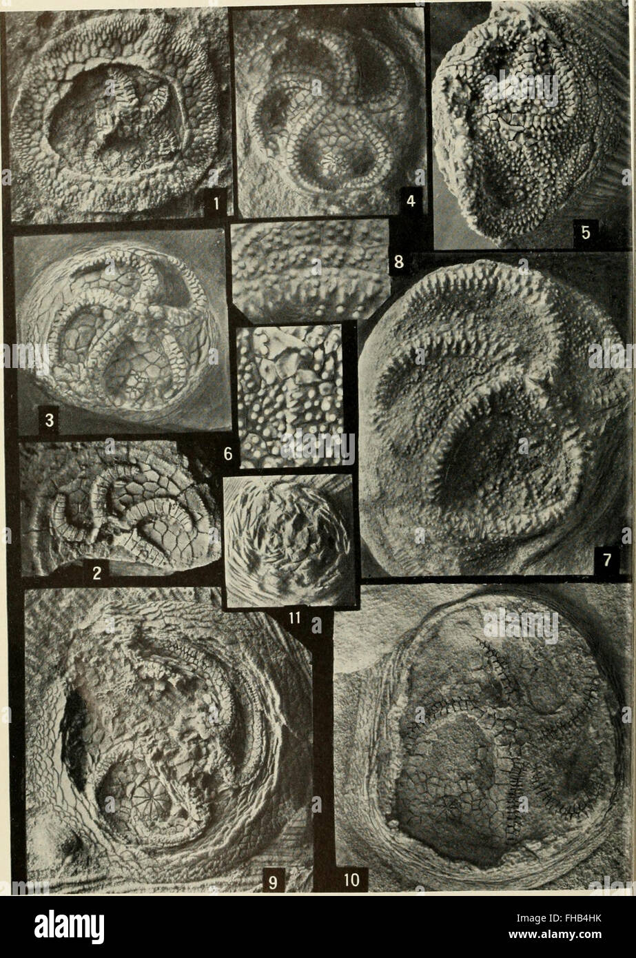A collection of diverse scientific research and articles published by ...
