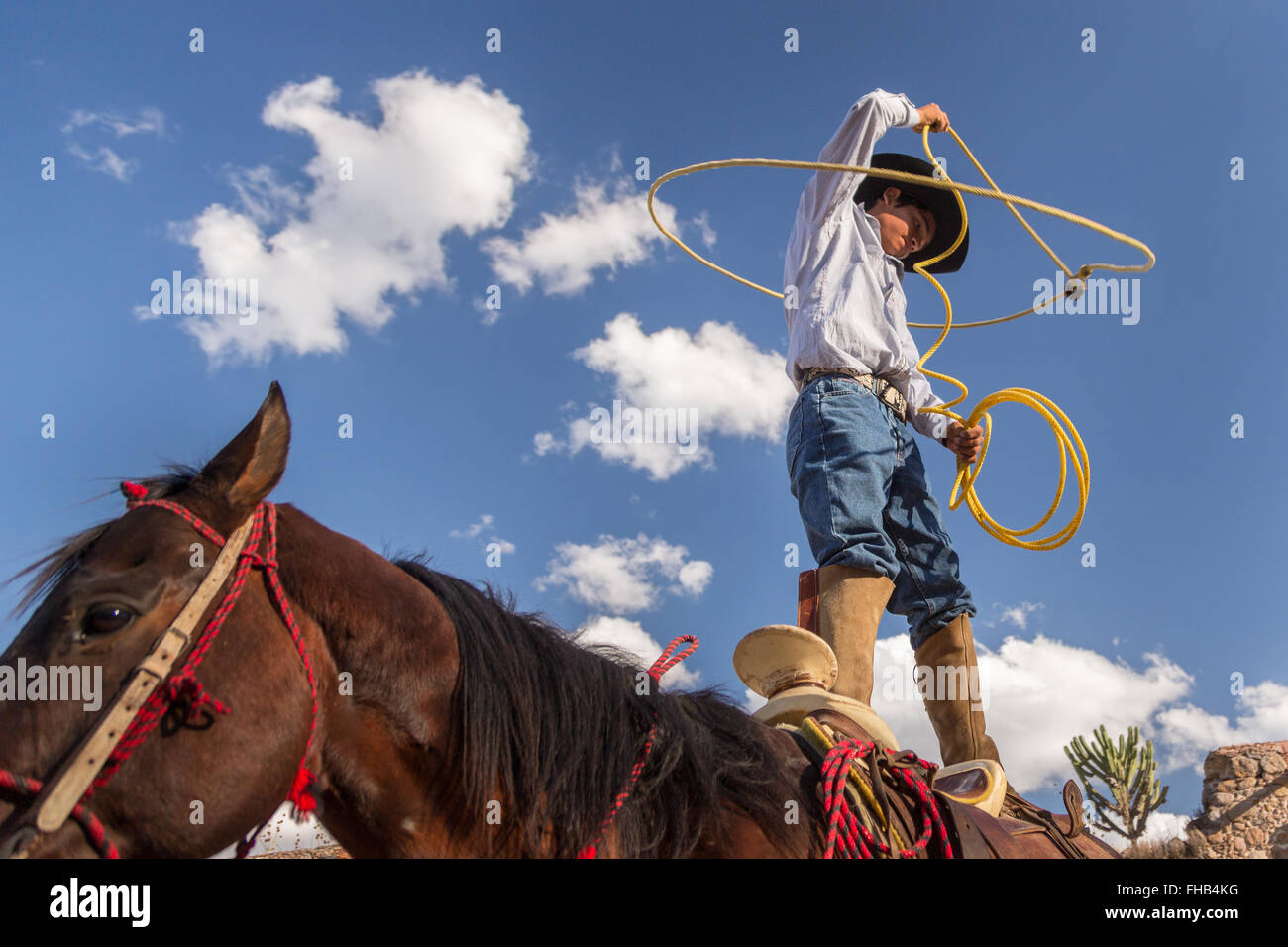 A Mexican charro or cowboy practices roping skills on his horse before ...