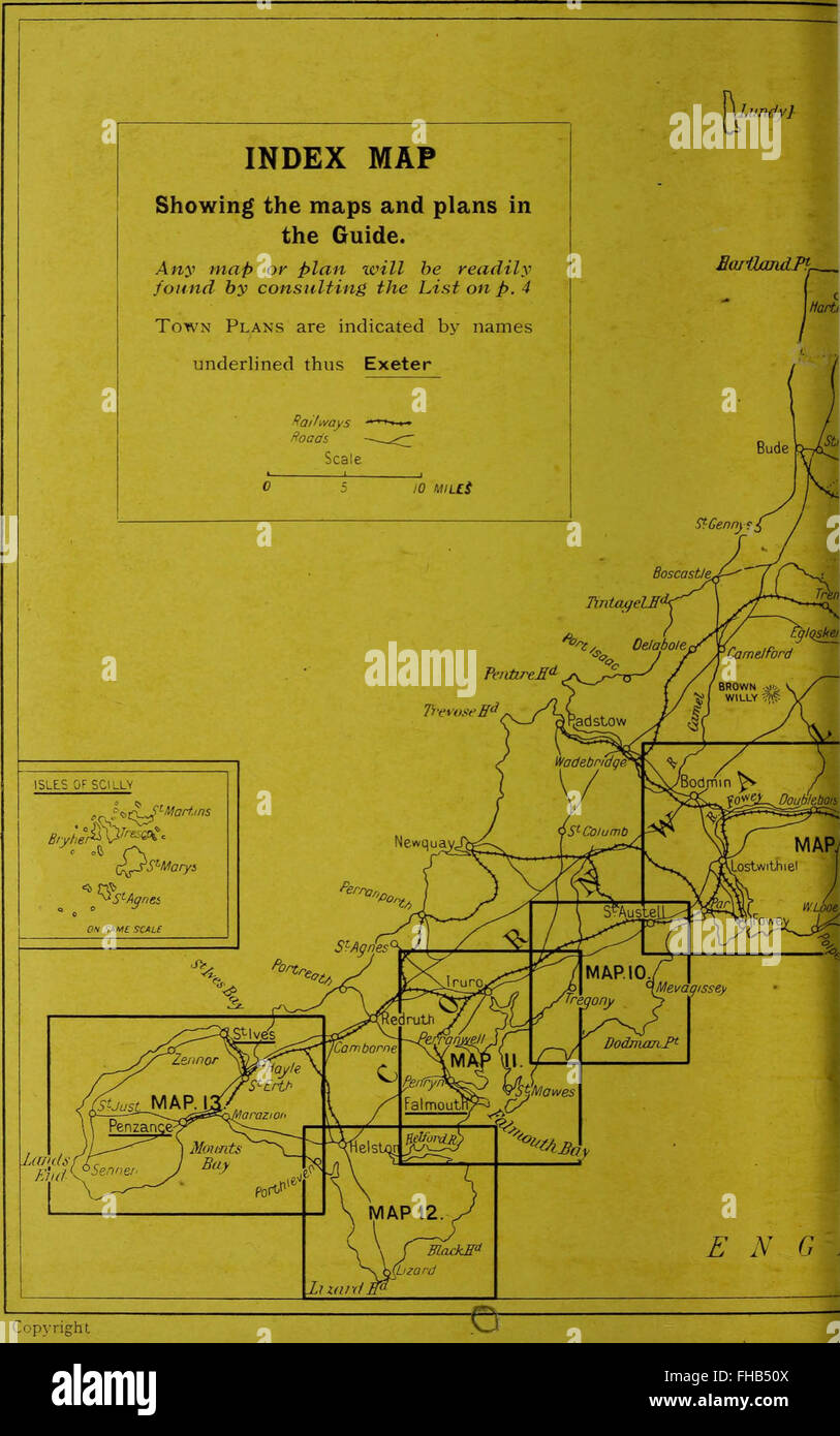 A detailed study of the insects that attack olive trees and their ...