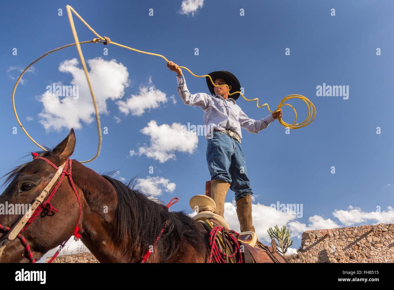A Mexican charro or cowboy practices roping skills on his horse before ...