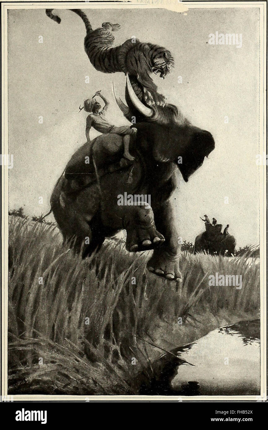 The 1873 serial publication of St. Nicholas, a children's magazine ...