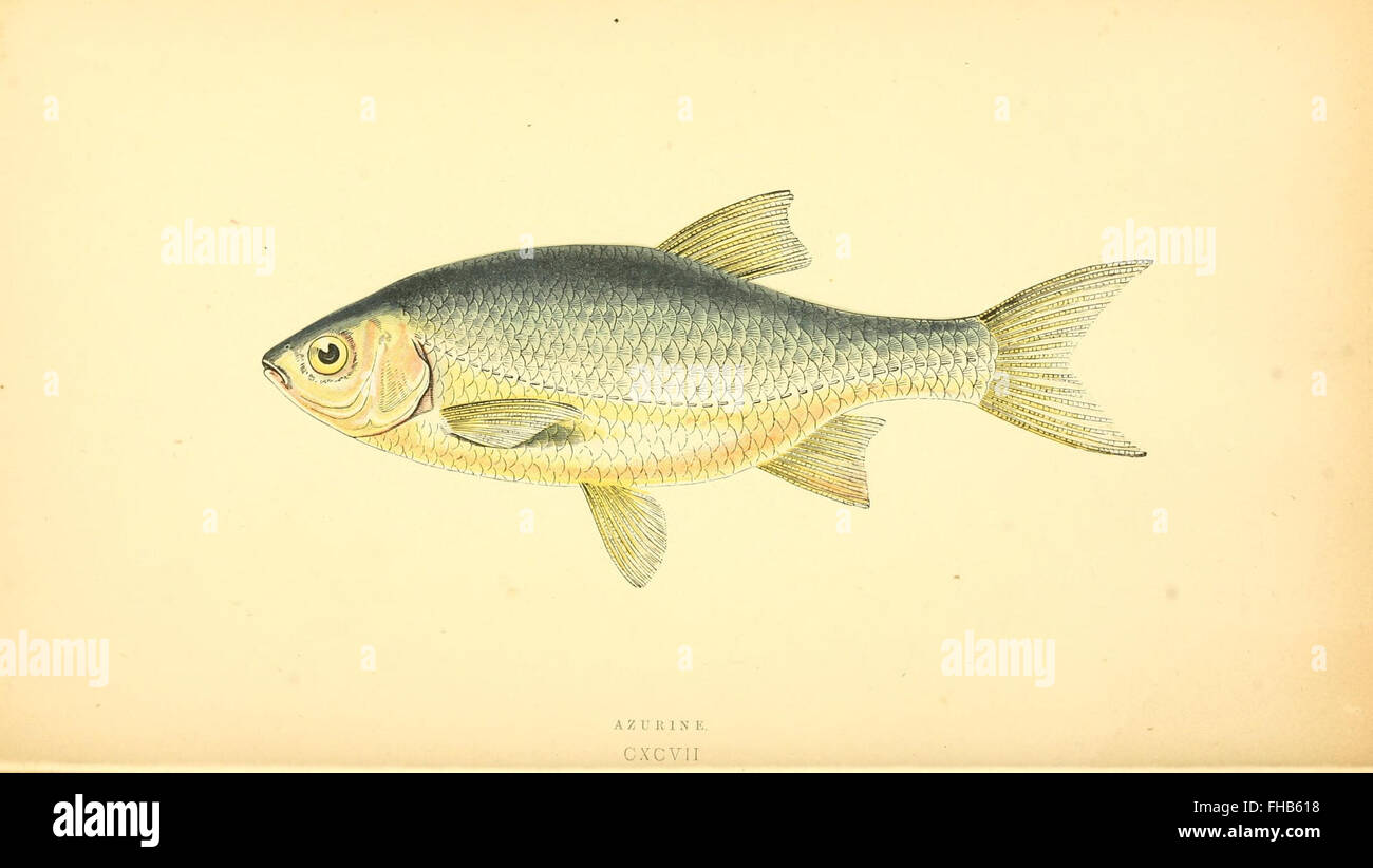 A History of the Fishes of the British Islands is an important work ...