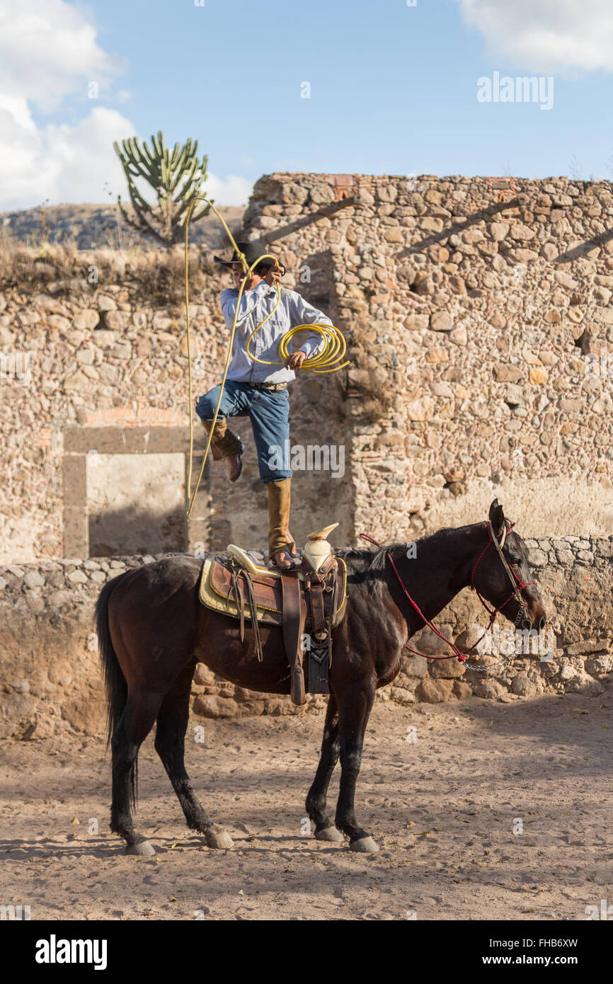 A Mexican charro or cowboy practices roping skills on his horse before ...