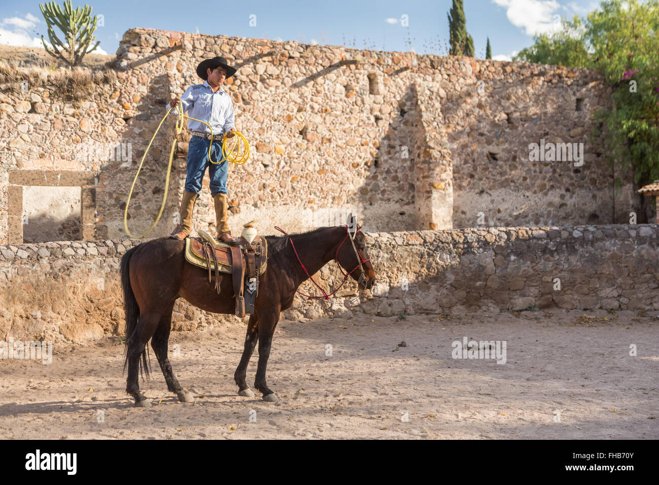 A Mexican charro or cowboy practices roping skills on his horse before ...