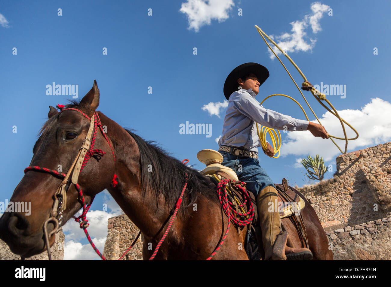 A Mexican charro or cowboy practices roping skills on his horse before ...