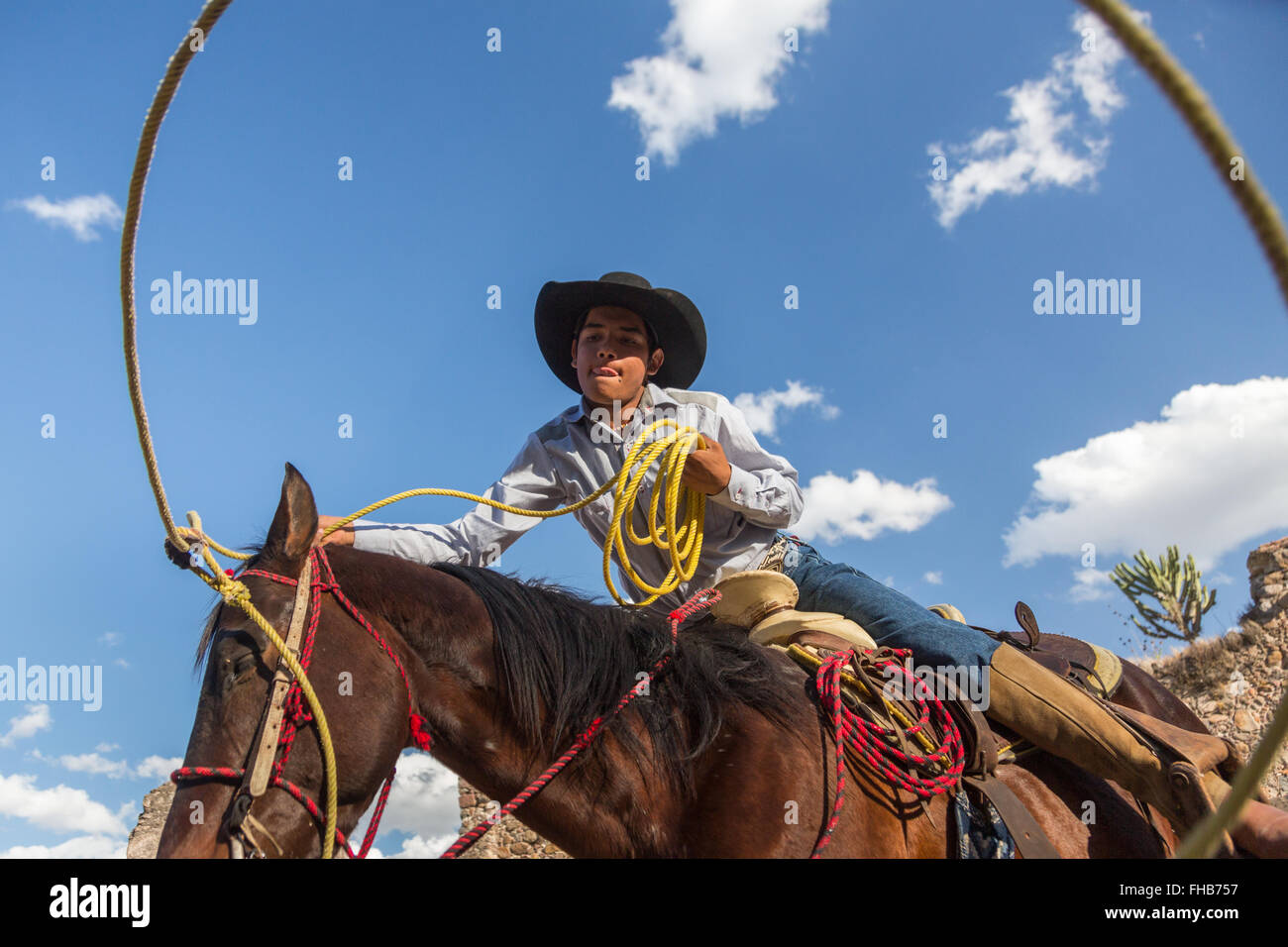 A Mexican charro or cowboy practices roping skills on his horse before ...