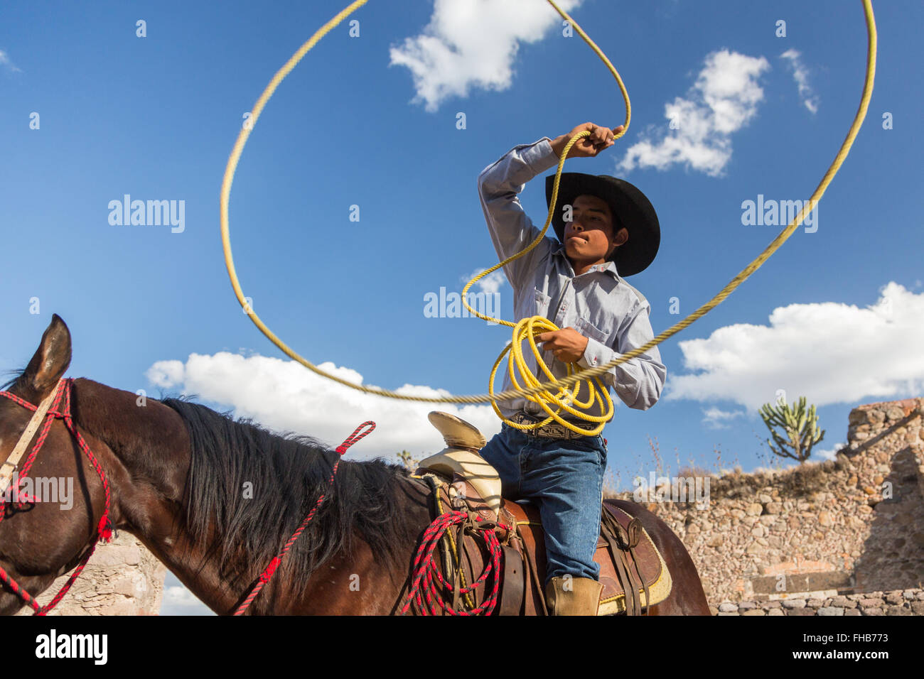 A Mexican charro or cowboy practices roping skills on his horse before ...