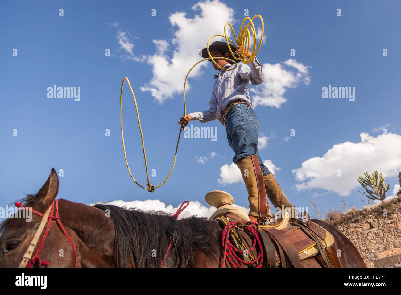 A Mexican charro or cowboy practices roping skills on his horse before ...