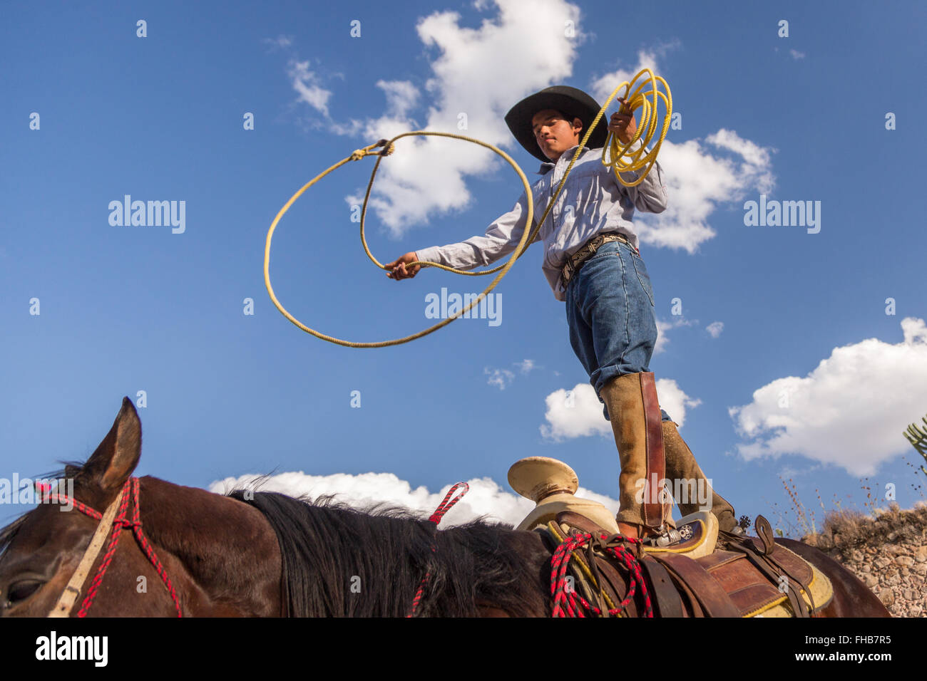 A Mexican charro or cowboy practices roping skills on his horse before ...