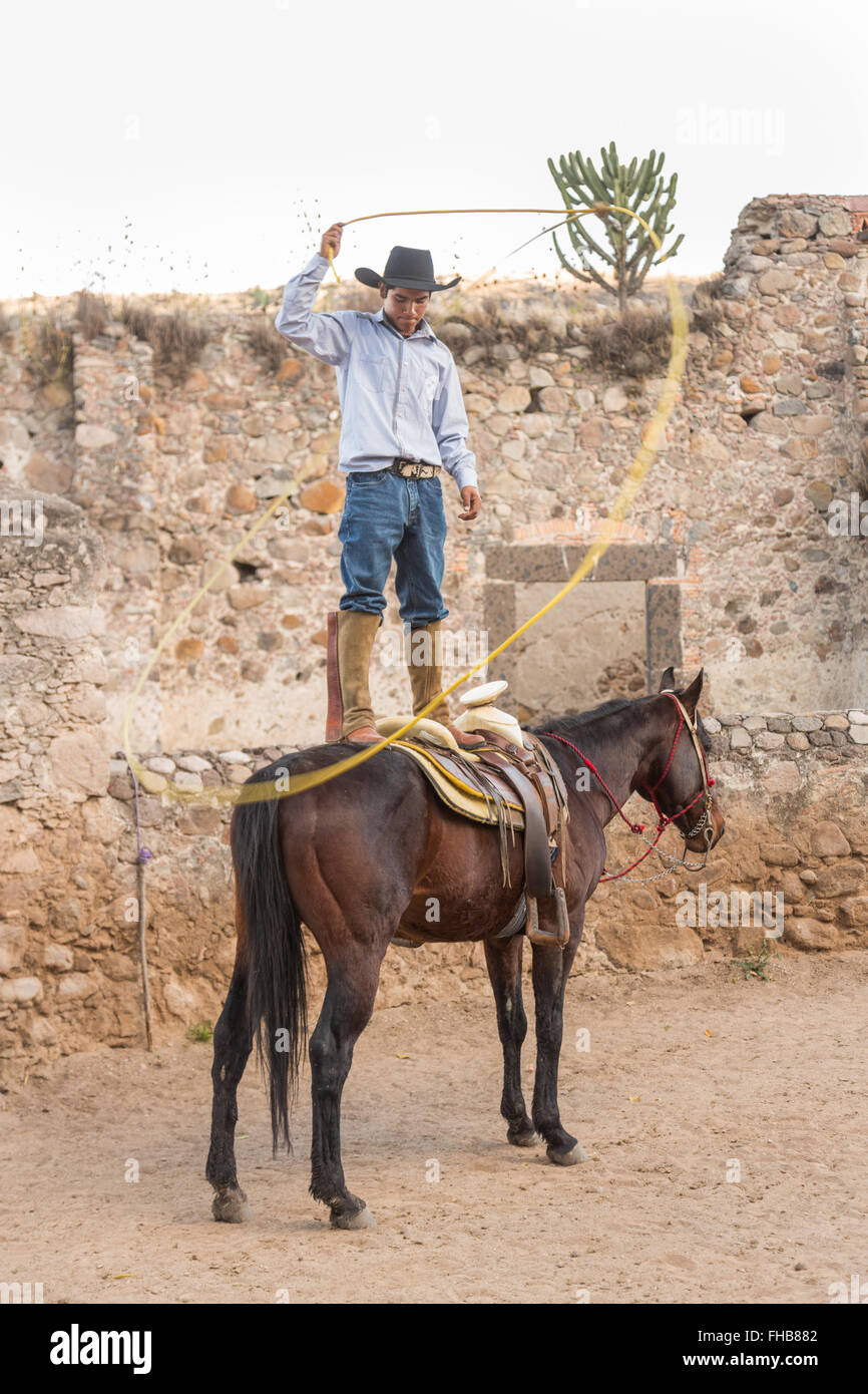 A Mexican charro or cowboy practices roping skills on his horse at a ...