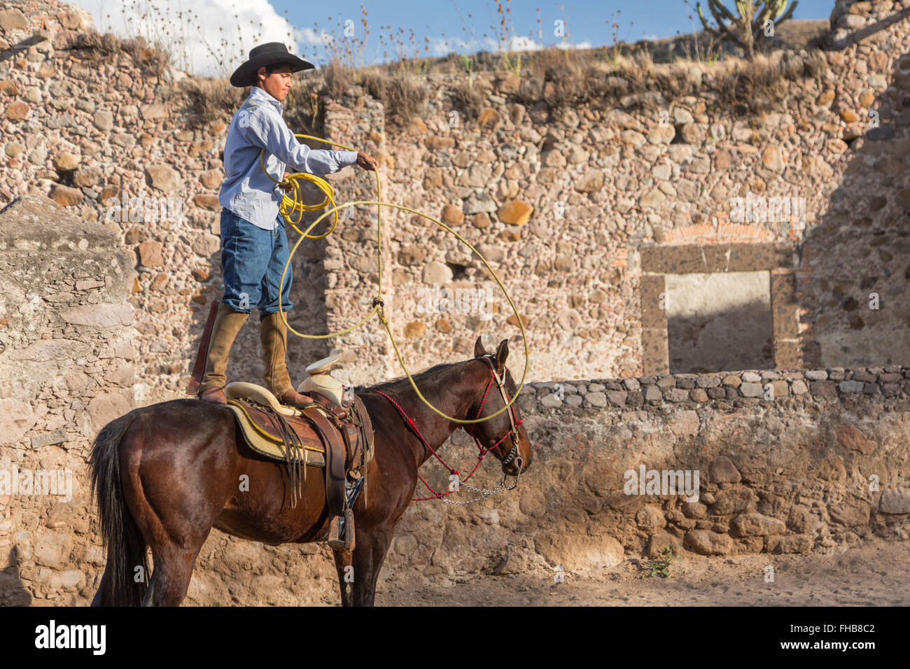 A Mexican charro or cowboy practices roping skills on his horse at a ...
