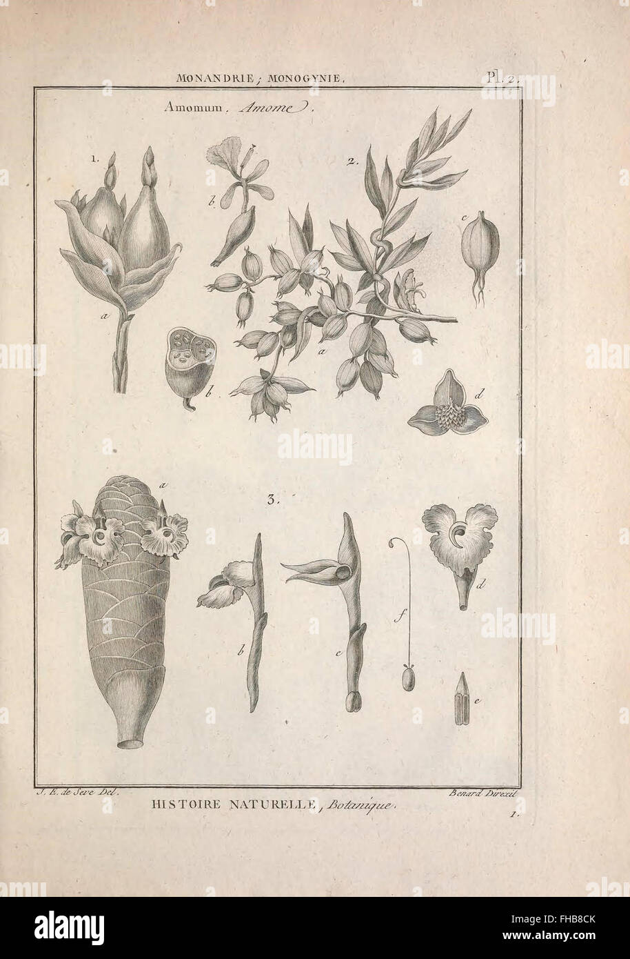 Tableau encyclopédique et méthodique, a comprehensive encyclopedic work ...
